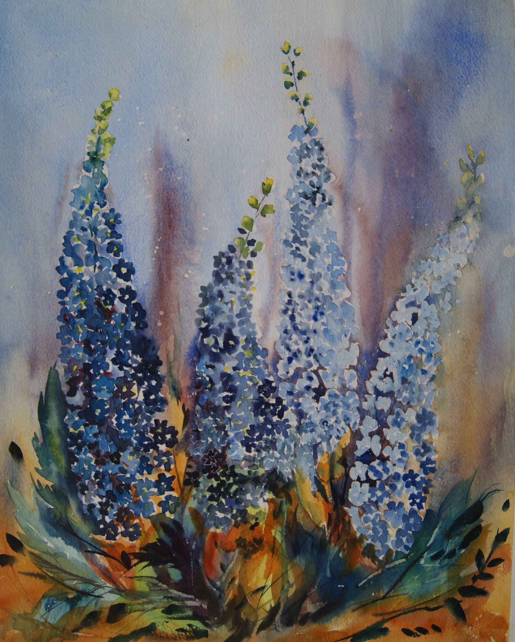 Gallery – Diane Antone Studio