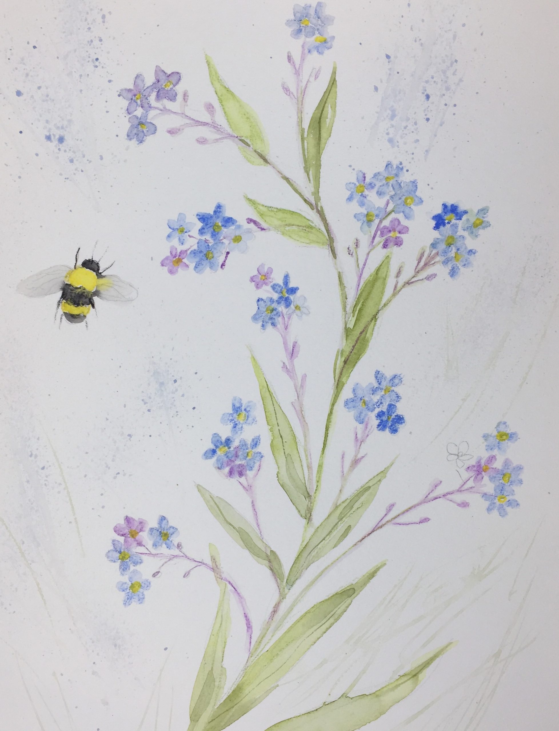 Forget-me-nots | Diane Antone Studio